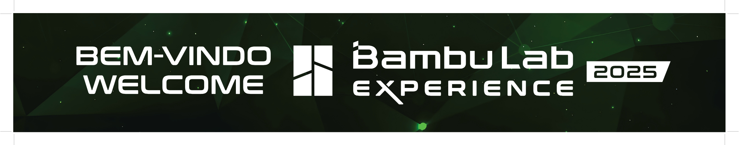 Bambu Lab Experience 2025 | Unlock App